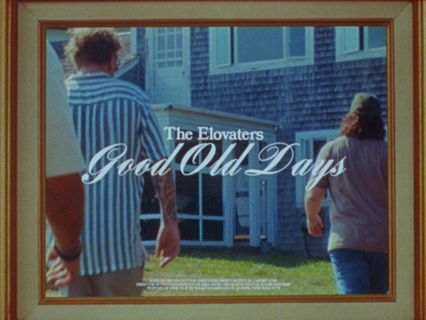 The Elovaters | American Progressive Roots Band